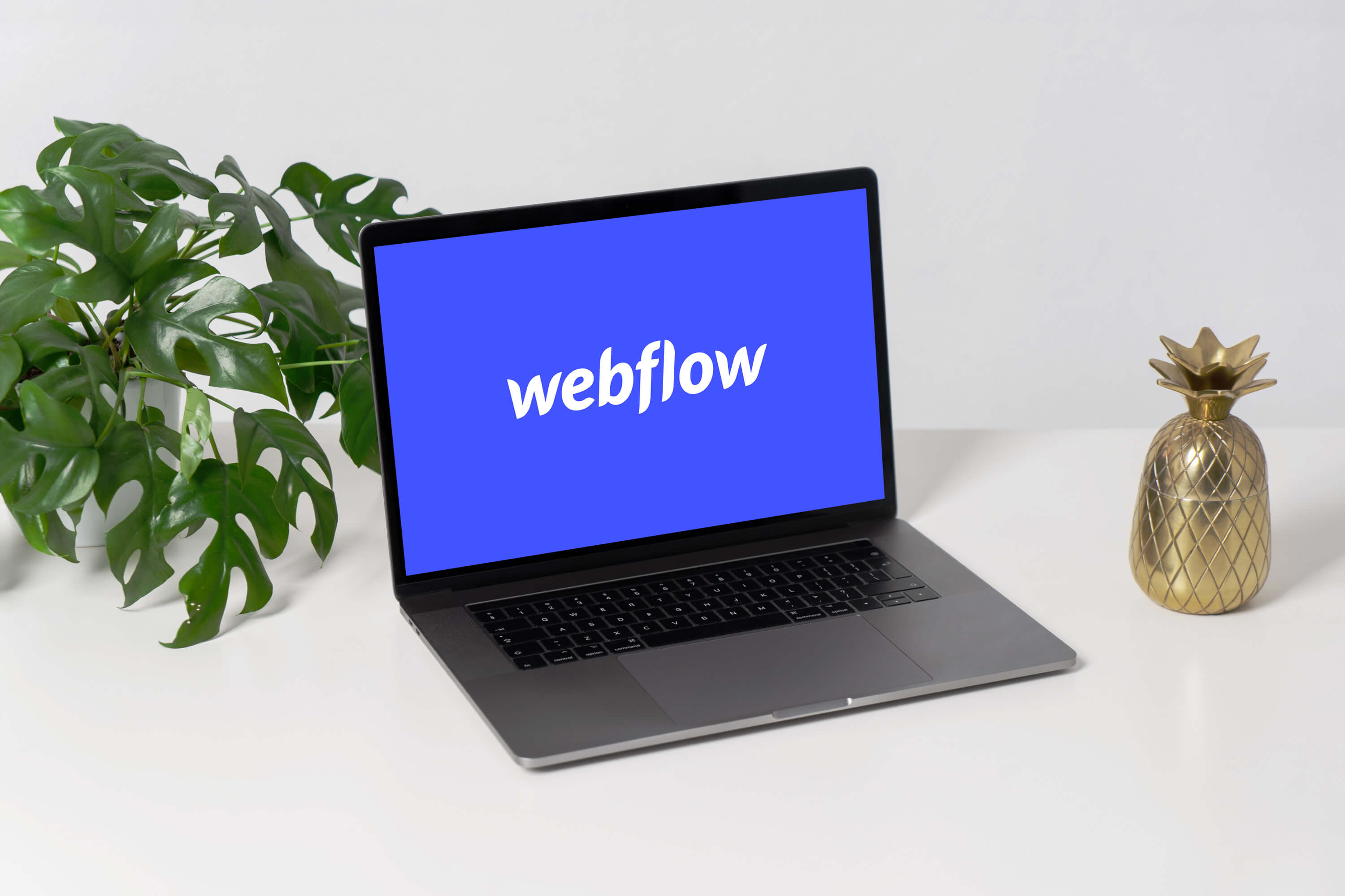 Kopstorm | What is Webflow?