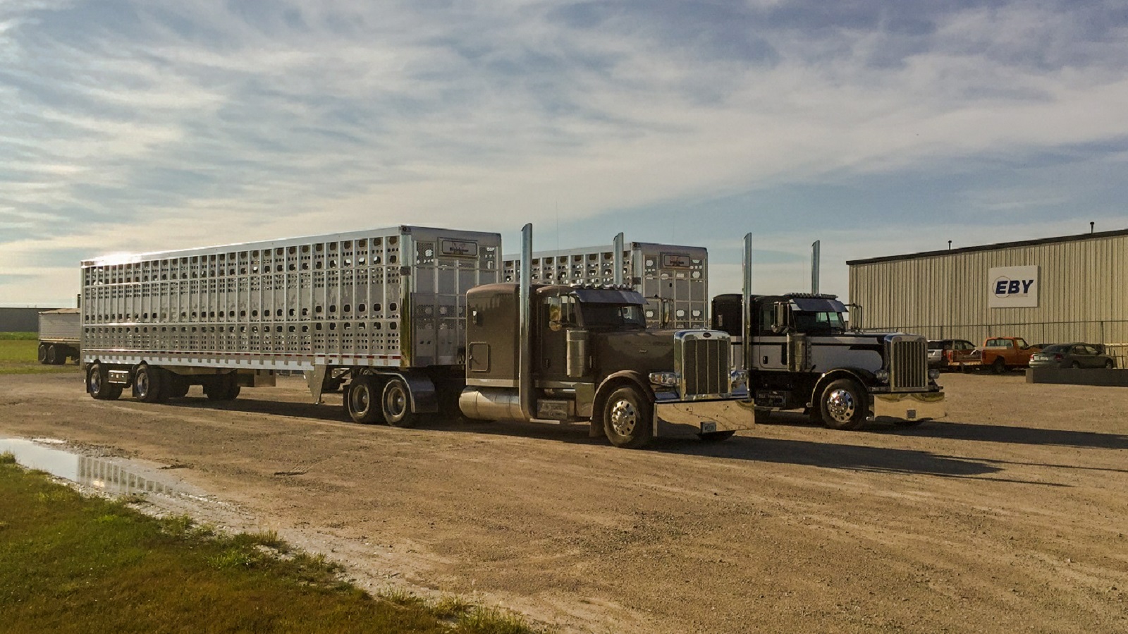 Trans Pork Livestock Semi Trailers | MH EBY