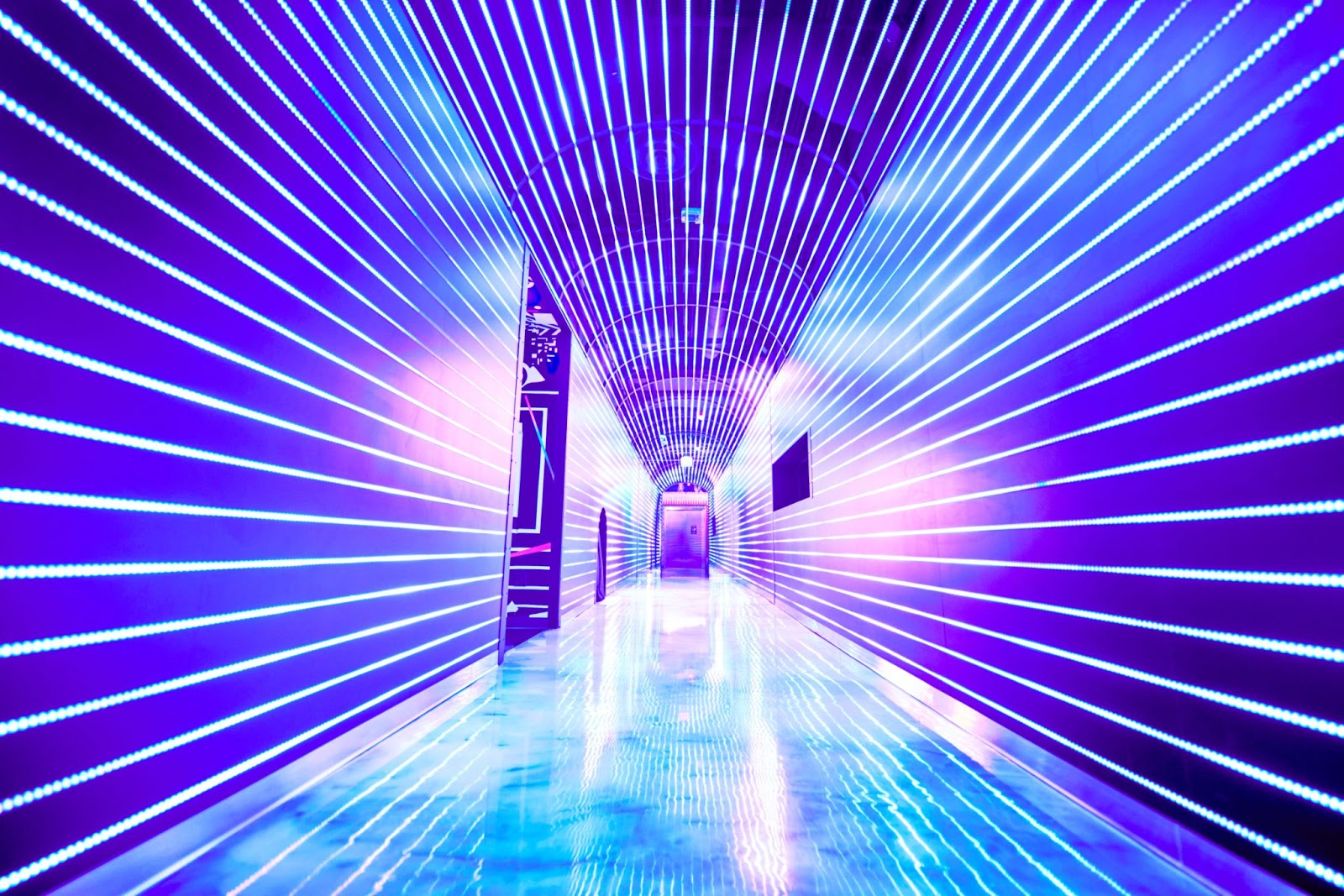 5 Things You MUST Know About Omega Mart | Meow Wolf