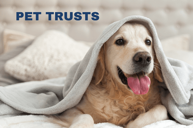 Pet Trusts – Planning for Your Pet’s Care