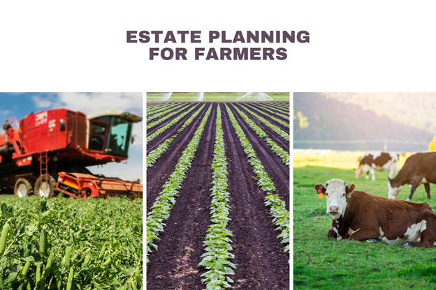 Estate Planning Strategies for Farmers