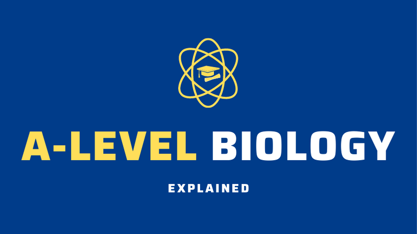 A-Level Biology Explained