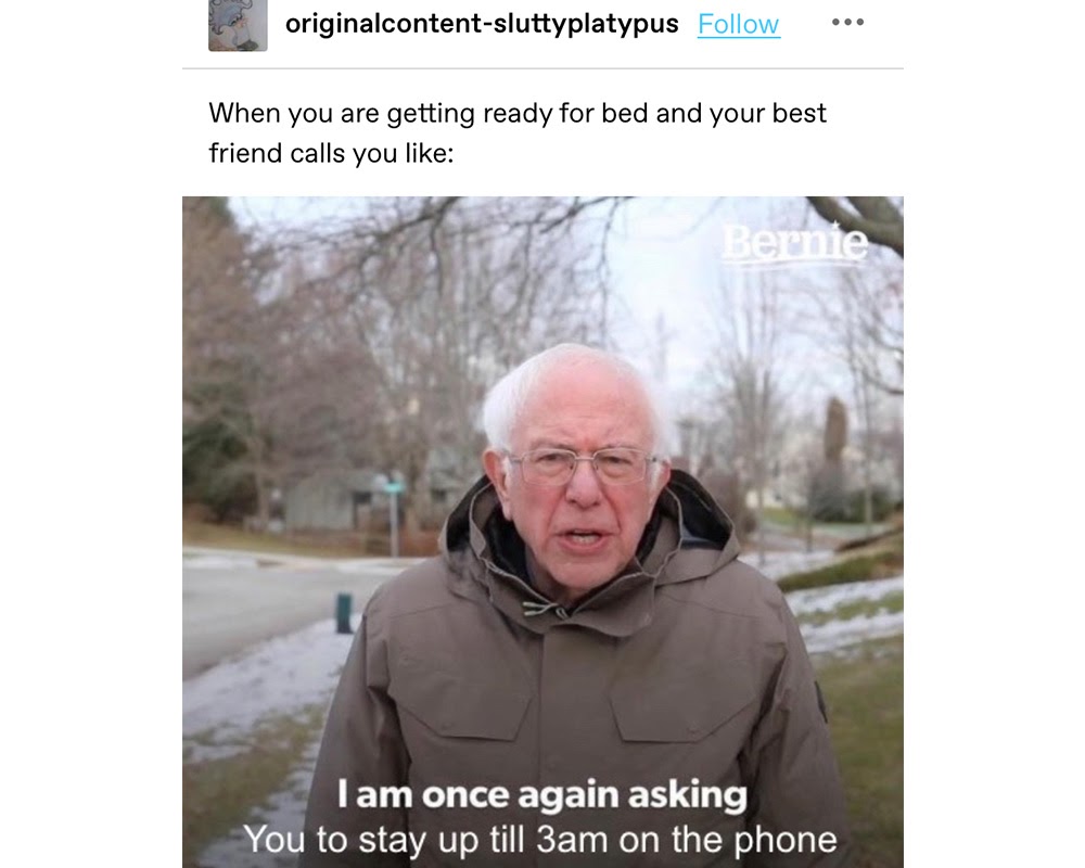 20 Memes That Perfectly Capture Adult Friendships | Adultist