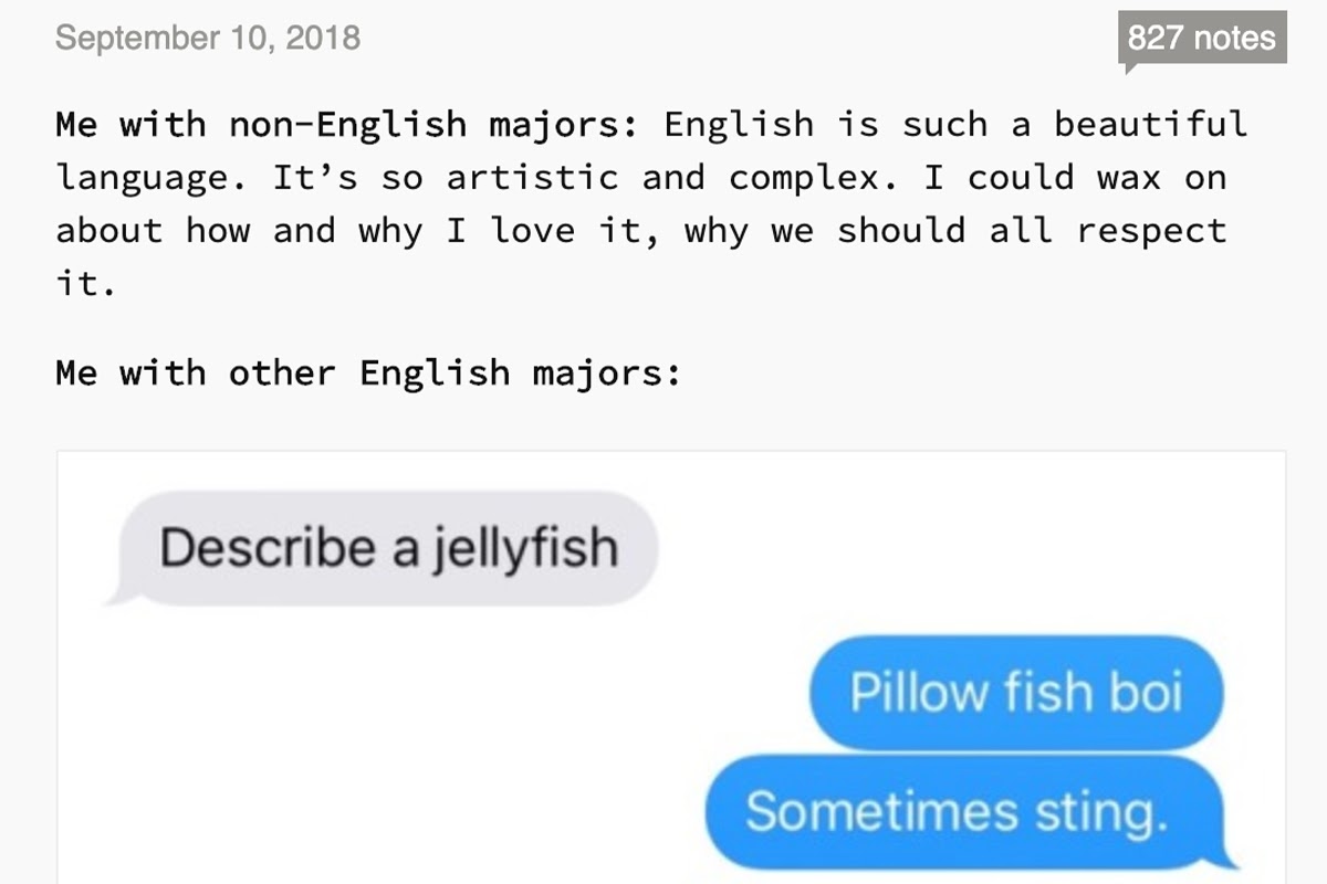 Top 16 Relatable College Memes for English Majors | Adultist