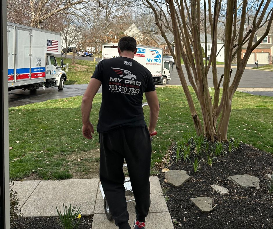 Comprehensive Guide to Moving Company Costs in 2023 | MyProMovers