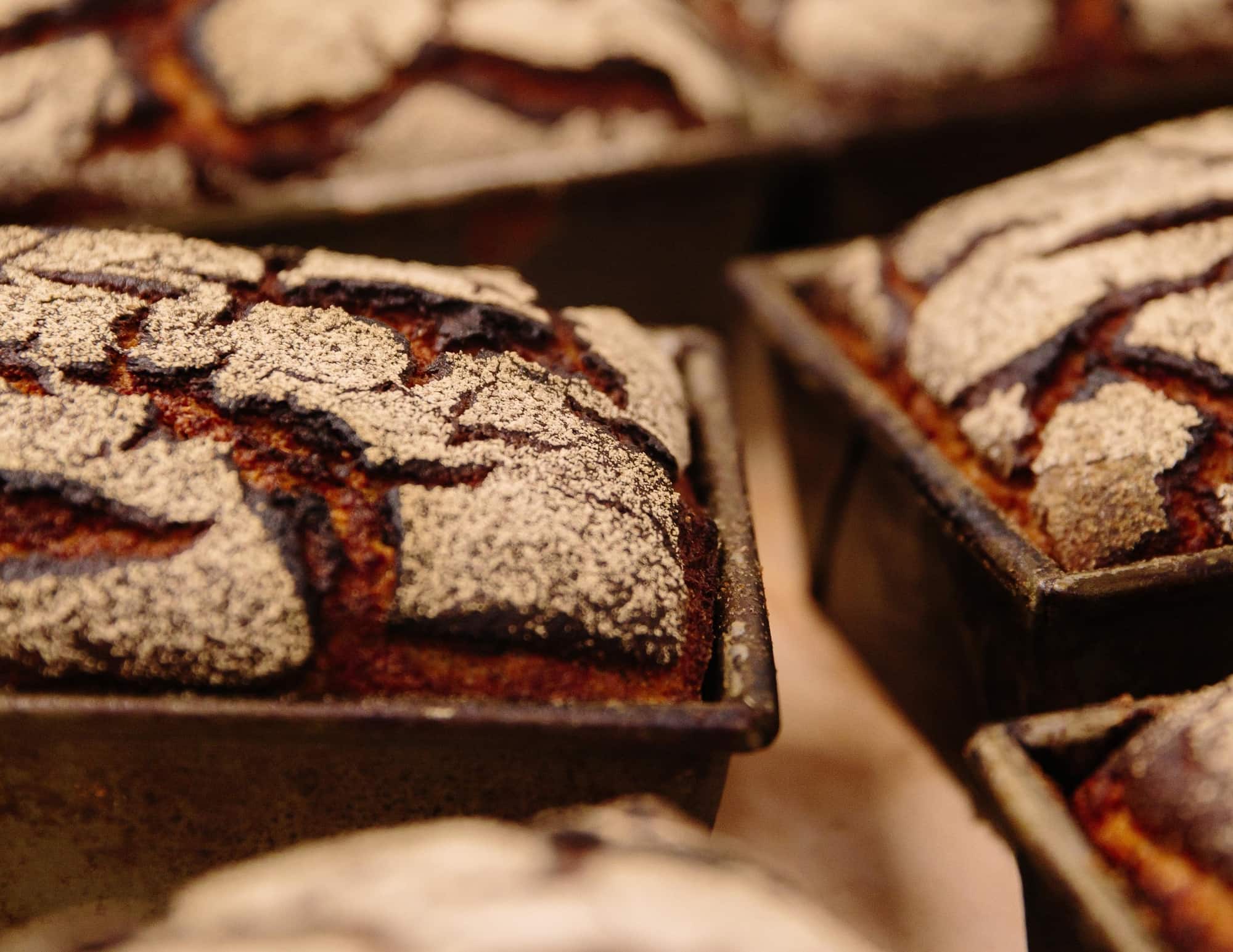 Complementary Dots + Backdoor Bread + Jasper Hill