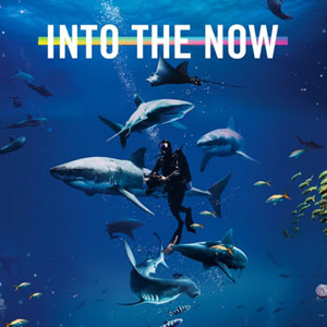 Gramoscope Music - Home