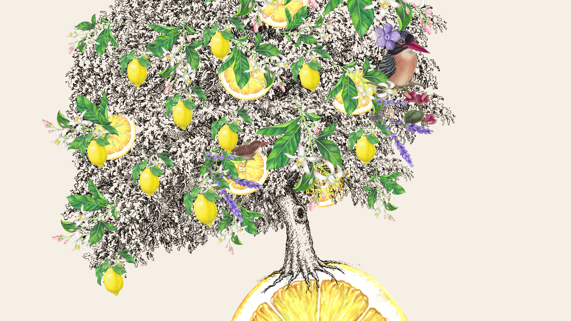 Awesome Deloitte: 2019 Spring Collection Motion Case Study