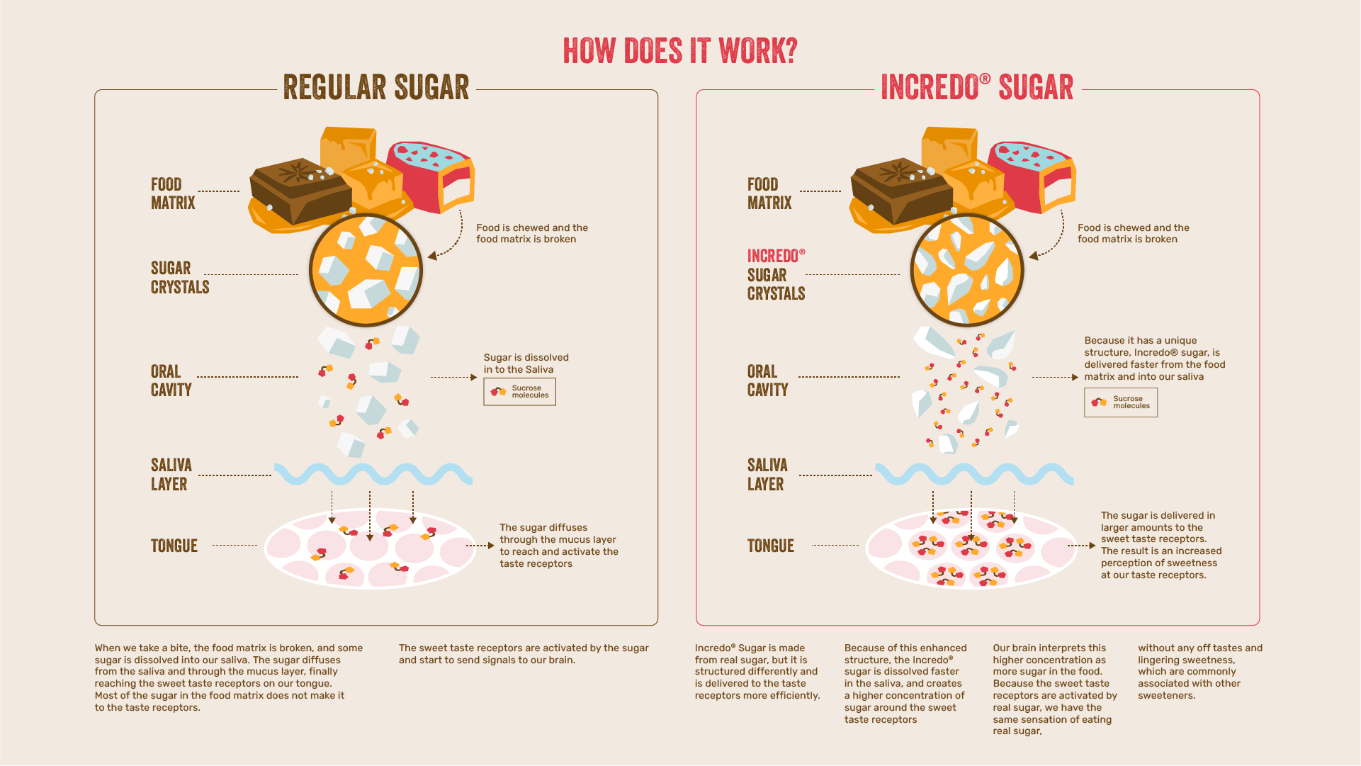 Awesome Deloitte: Incredo Sugar Case Study