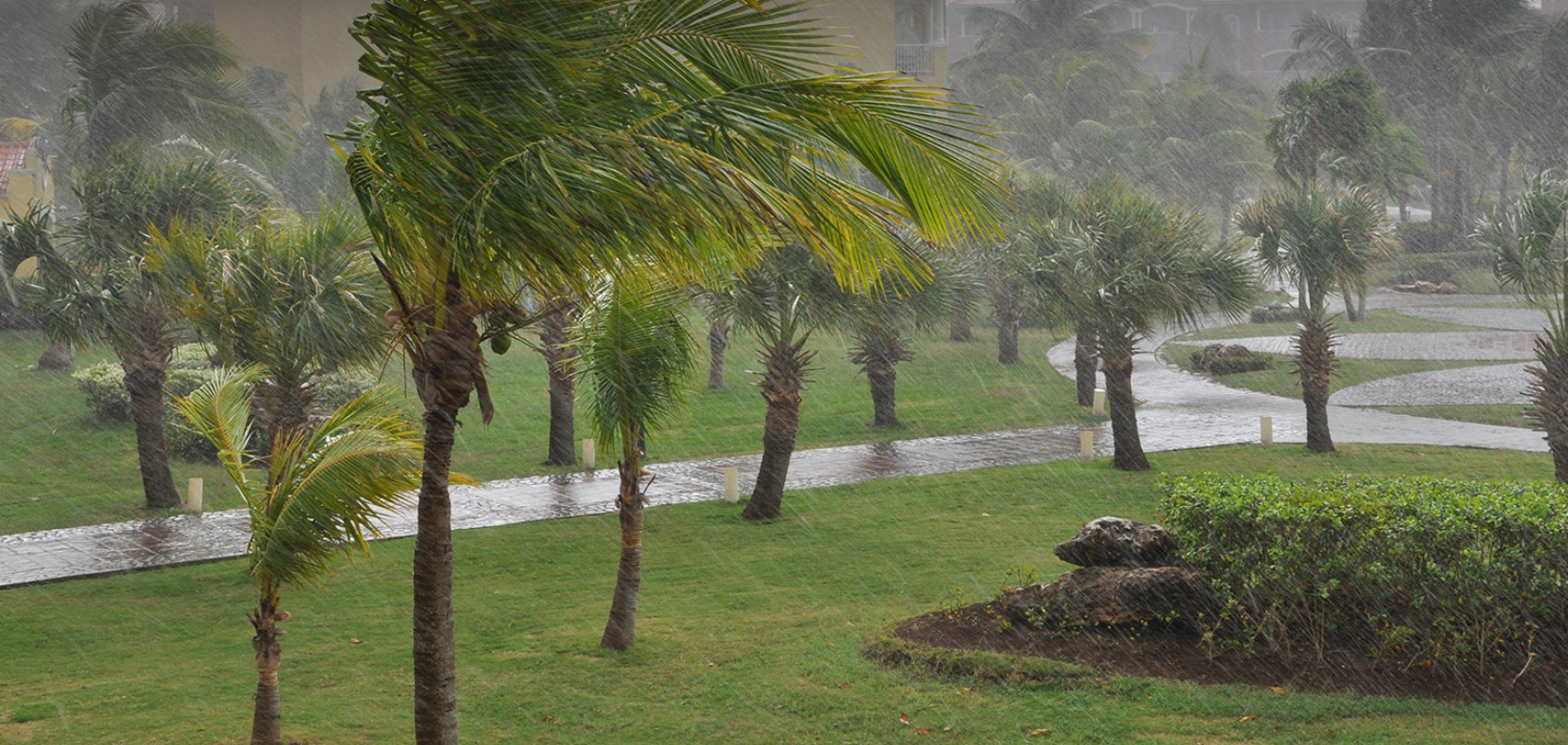 Wind Driven Rain, The Gibraltar Group