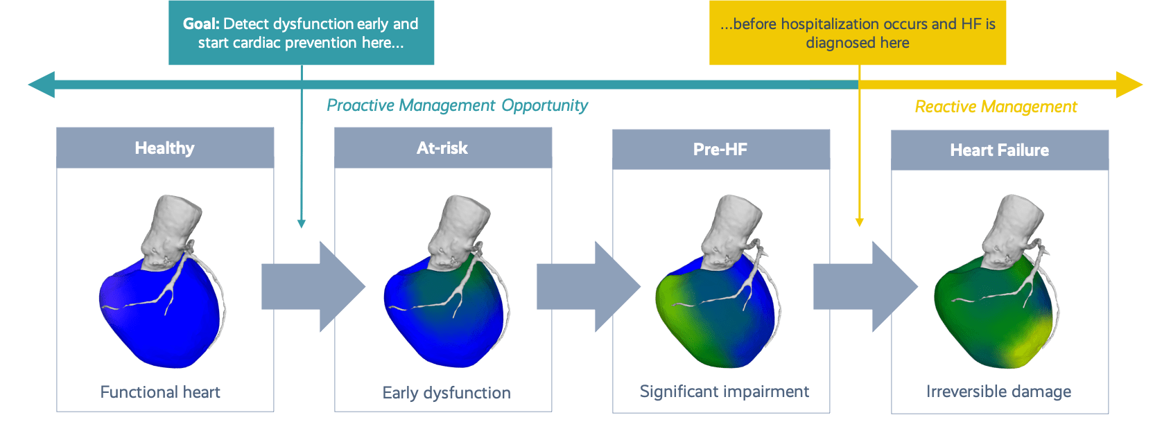 Myocardial Solutions | Our Clinical Approach