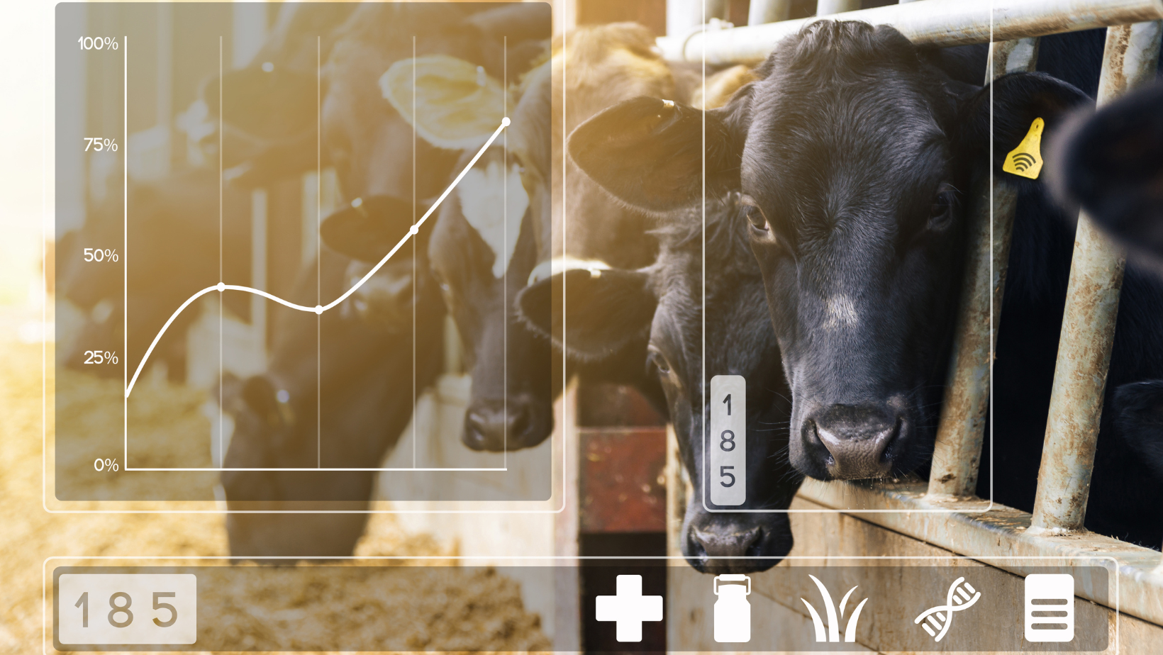 The Role of Data Analytics in Enhancing Dairy Supply Chain Performance