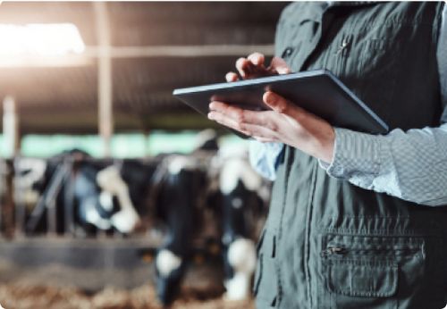 Product | Milk Tracking