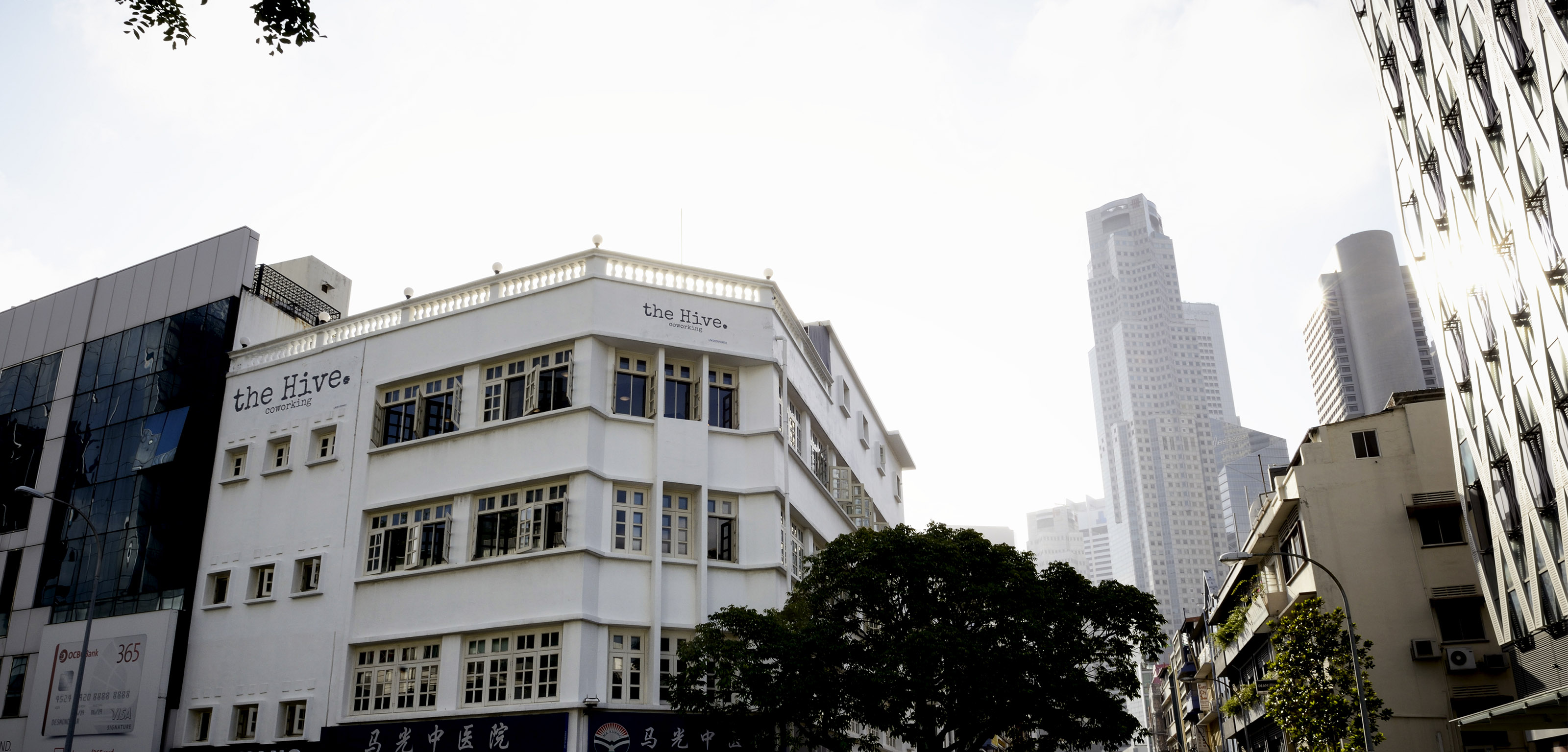 The Hive (SG) | Companies Hiring in Hong Kong