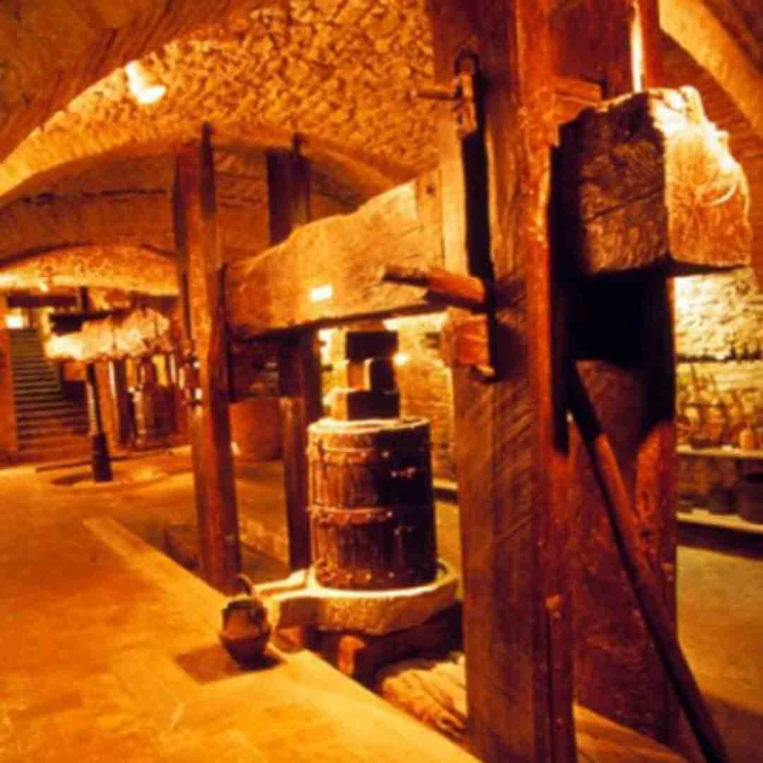 The Olive Oil Museum and Wine Cellar Day Tour (Torgiano) for School ...