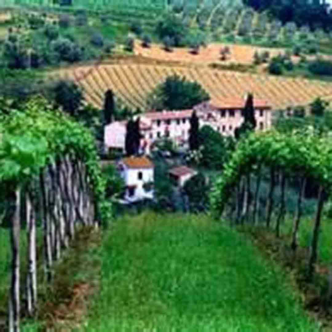 Vineyard Visit for School Trips to Florence