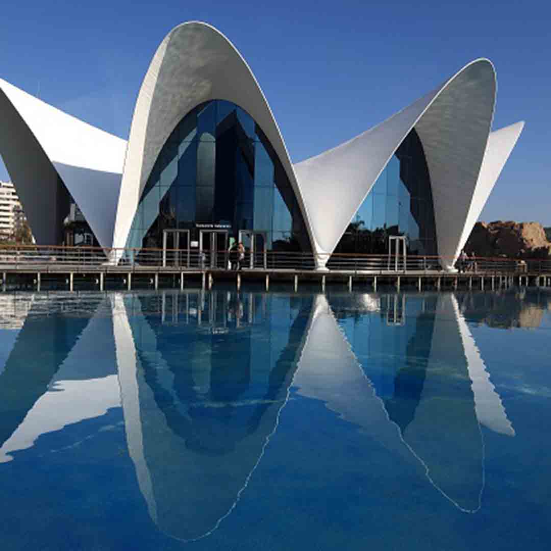 Science School Trips | Adaptable Travel