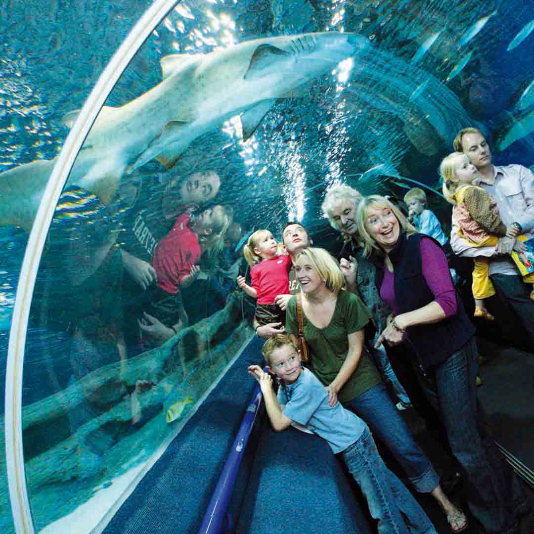 Deep Sea World for School Trips to Edinburgh