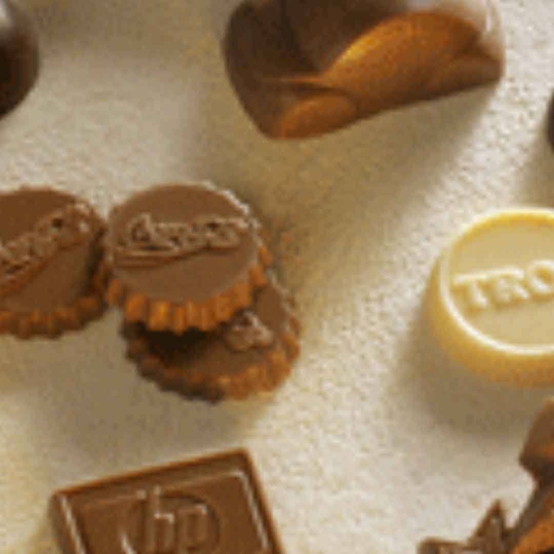 Concept Chocolate for School Trips to