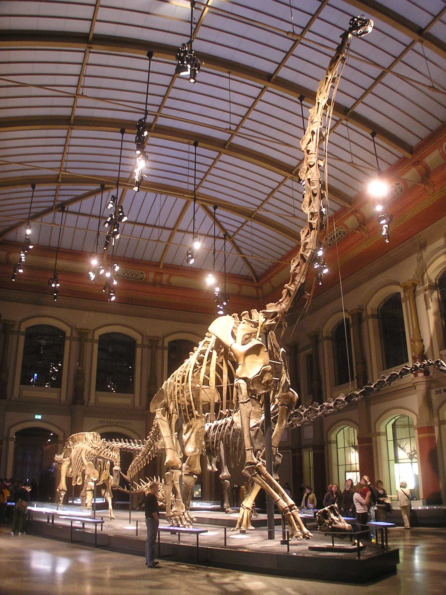 Natural History Museum Berlin for School Trips to Berlin
