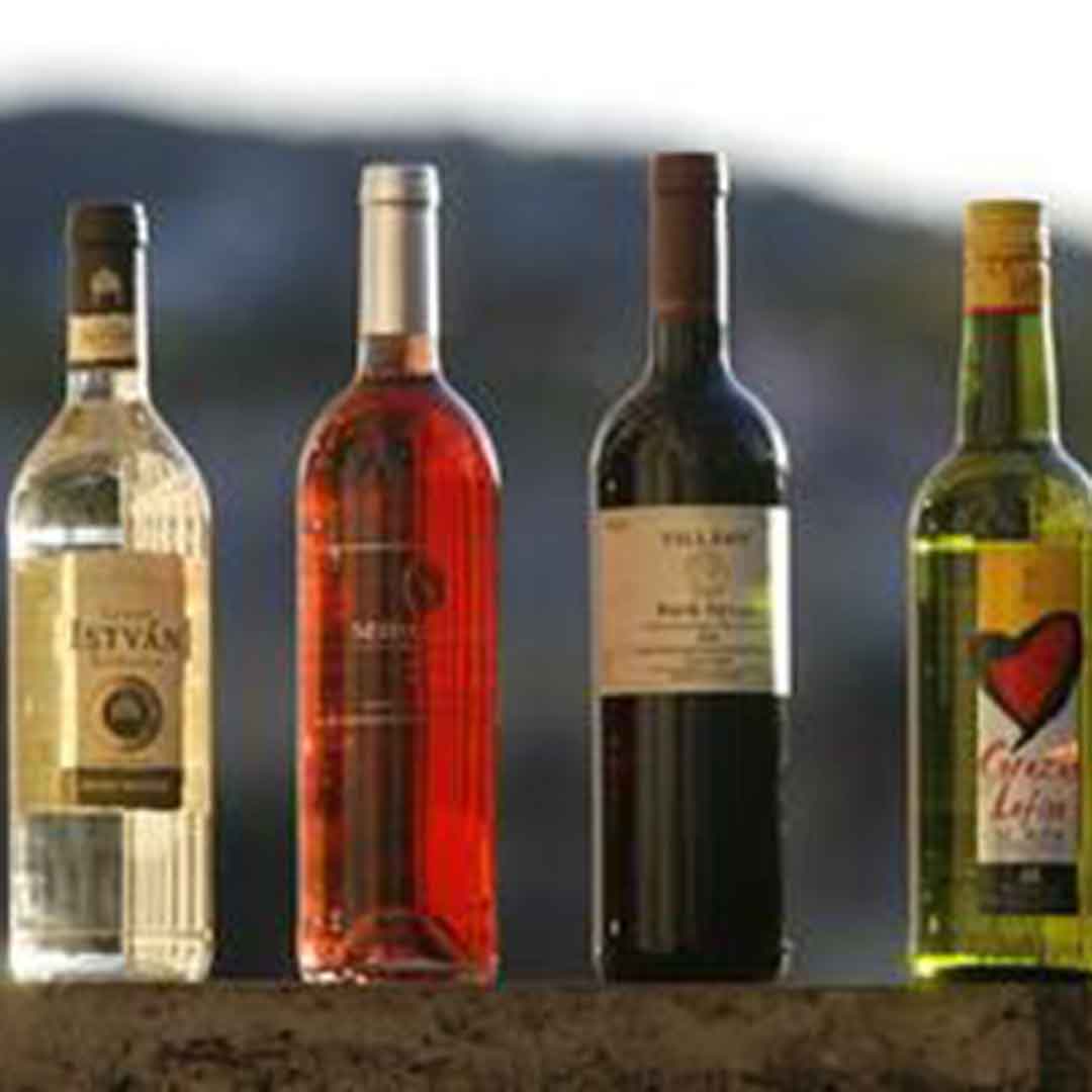 Promontorbor Wine Cellar for School Trips to