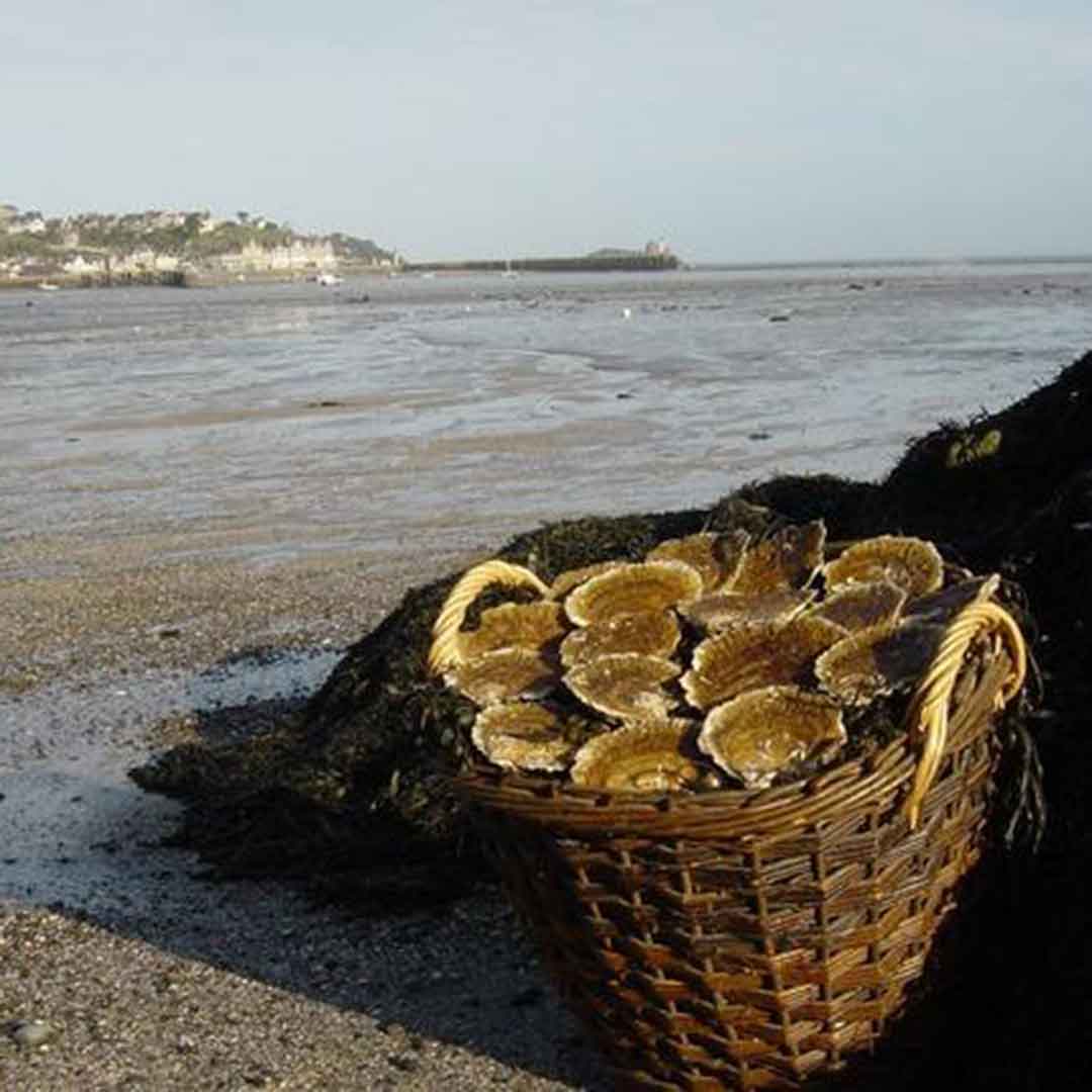 La Ferme Marine - Oyster Museum for School Trips to