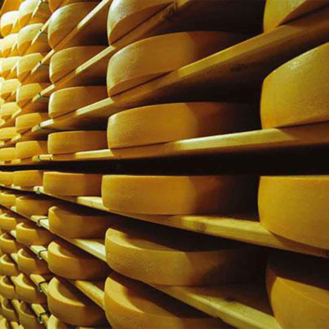 Gruyere cheese factory for School Trips to