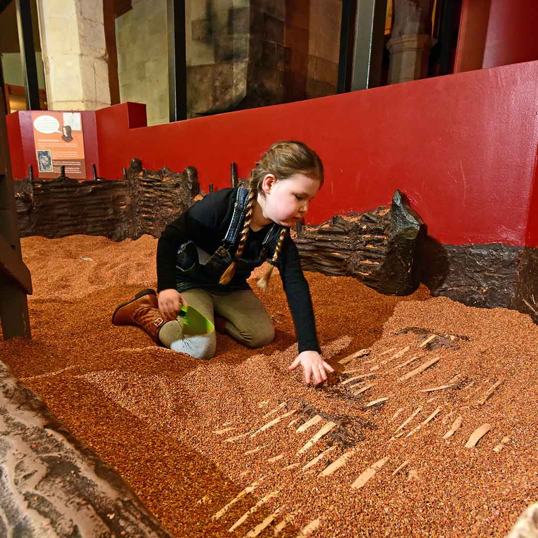DIG York for School Trips to