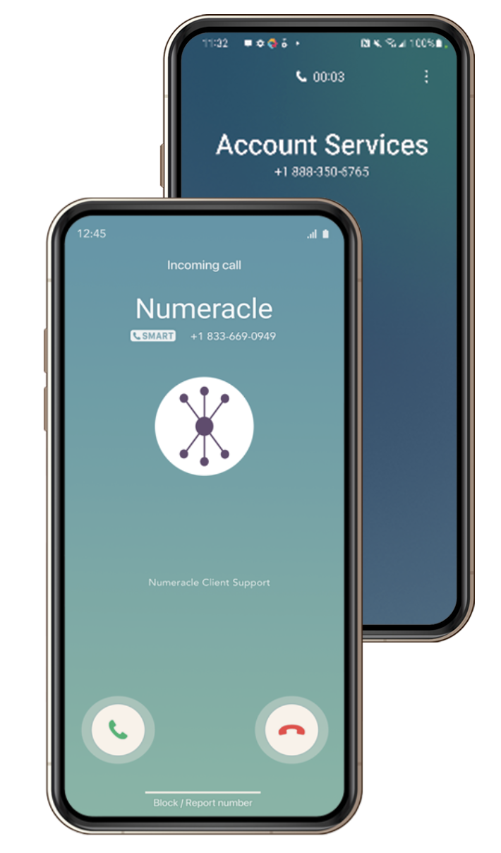 The Cost of Misleading Call Intent Labels