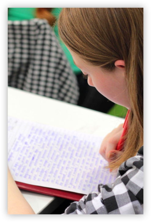 GrammarFlip: The Interactive Online Grammar and Writing Program