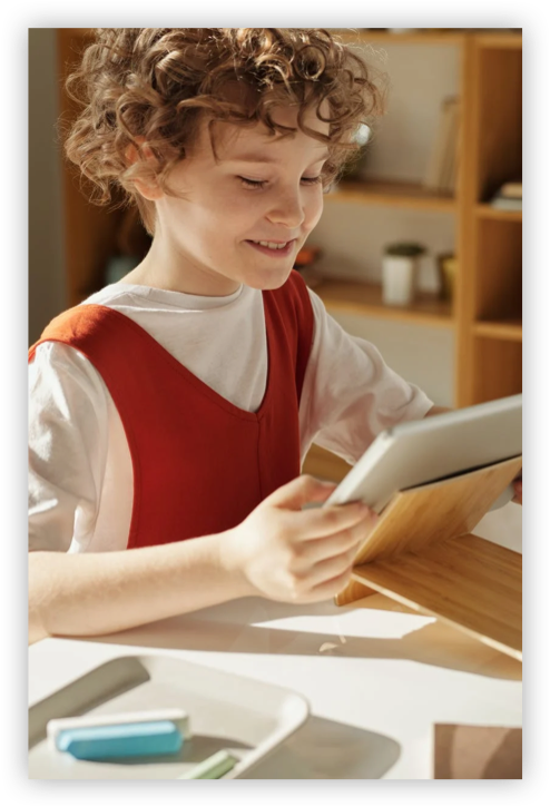 GrammarFlip: The Interactive Online Grammar and Writing Program