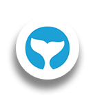 Recruitment CRM | Firefish Software