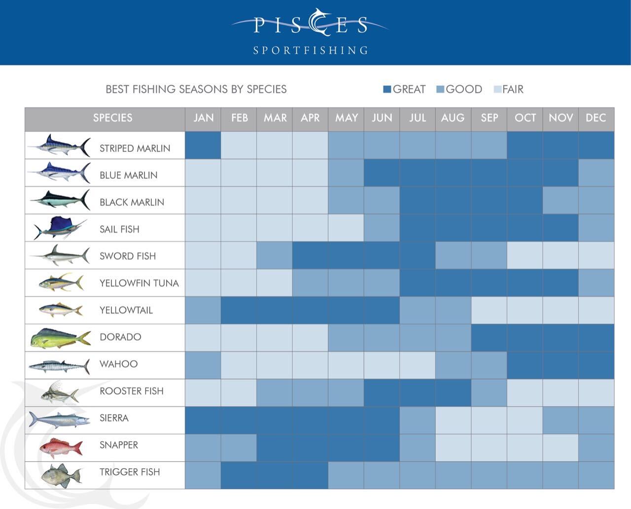 Frequently Asked Questions