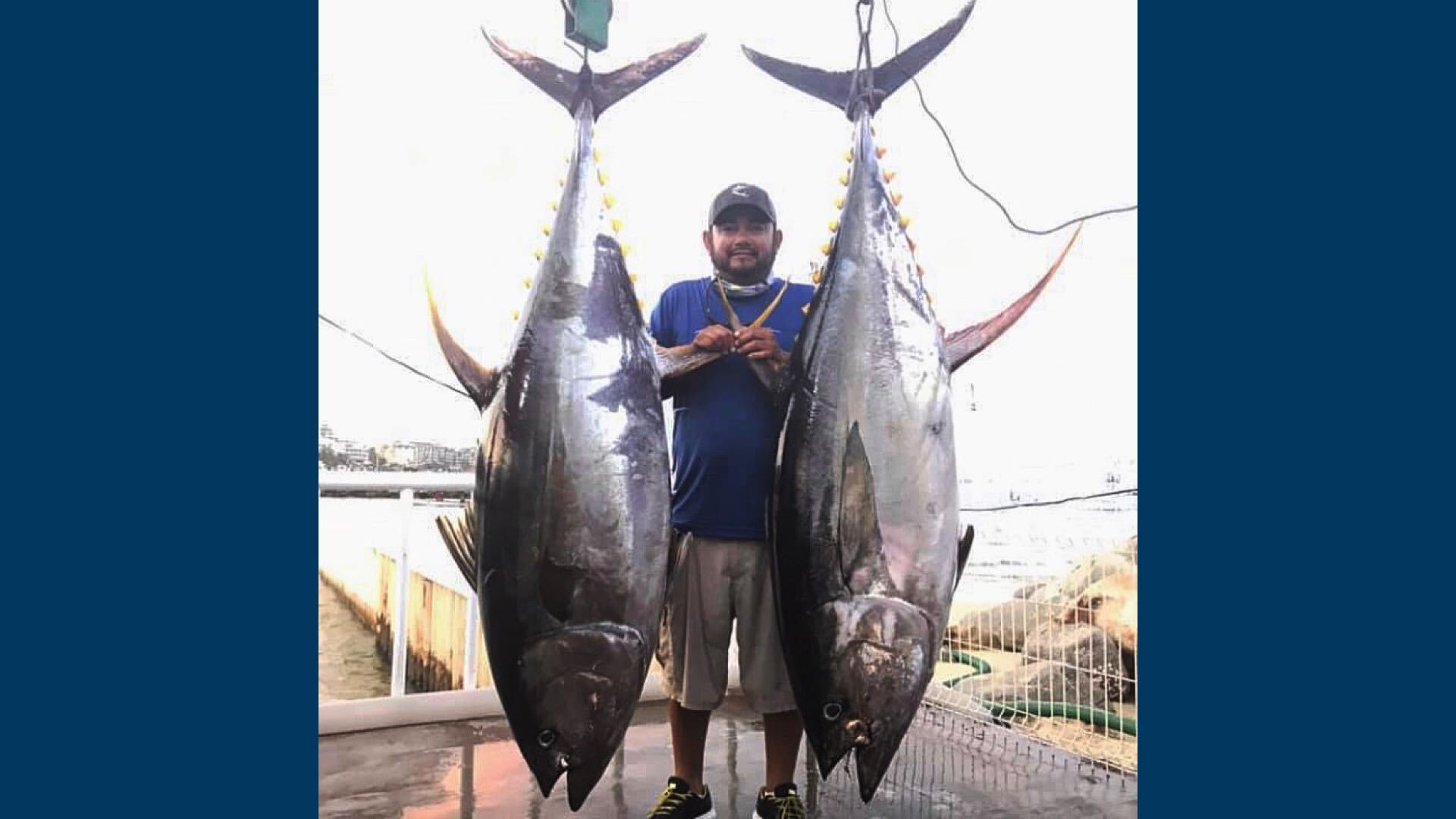 31ft Bertram "Ruthless"