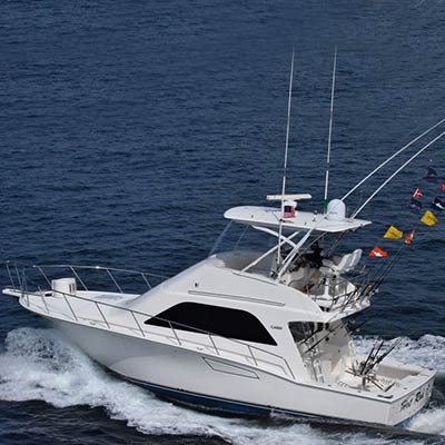 Fishing Charter Cabos New