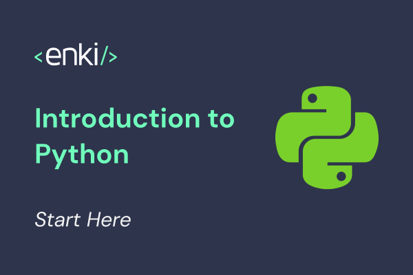 Enki | Blog - An intro to Python