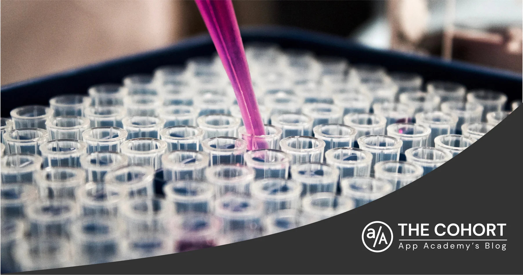 How to Become a Software Engineer With a Biology Degree - App Academy