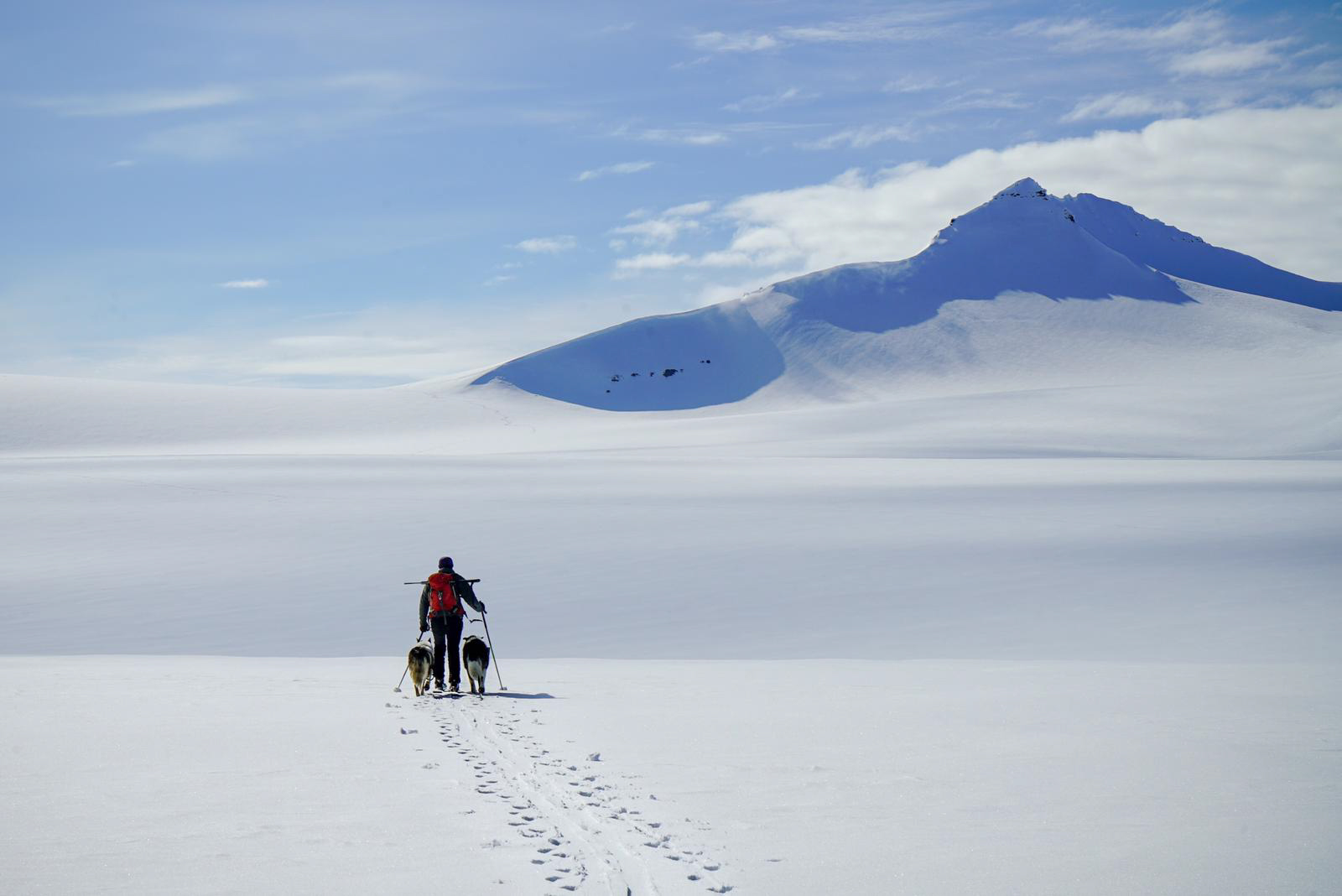 Skiing | Poli Arctici