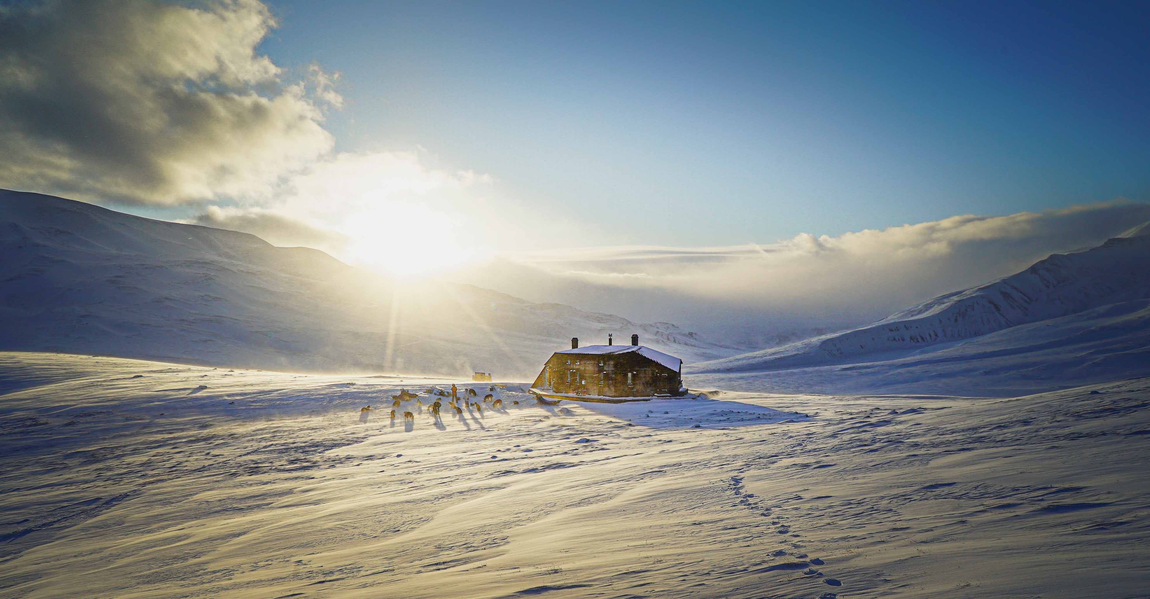 Arctic Night Experience | Poli Arctici