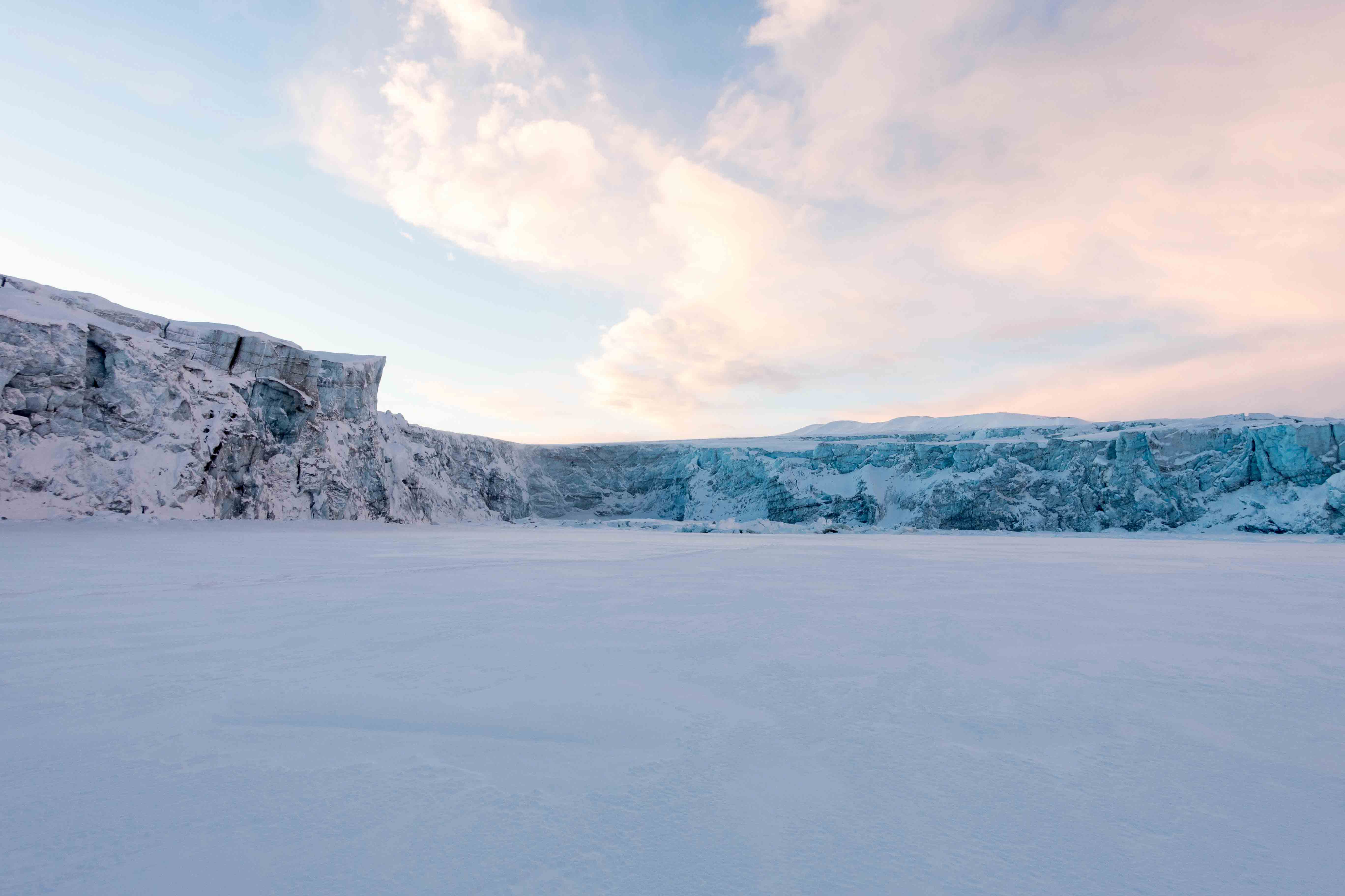 East Coast | Poli Arctici