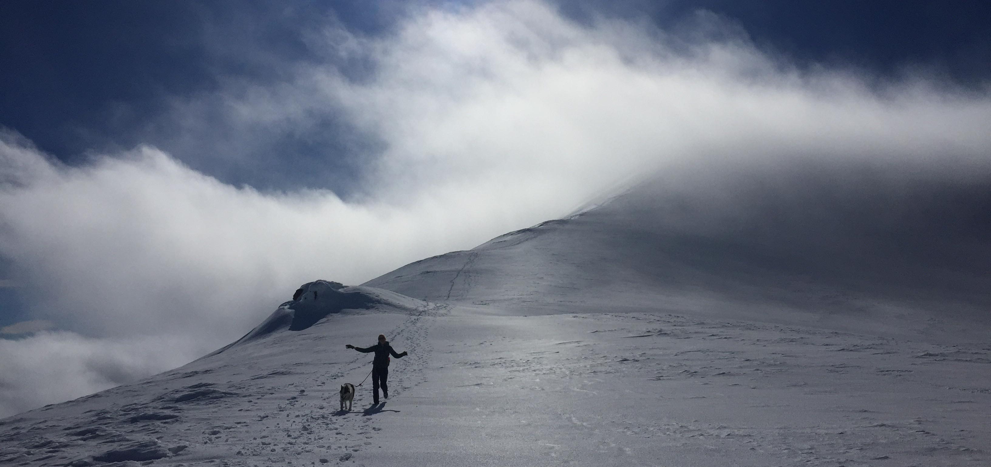 Nordenskiöldtoppen Trekking | Poli Arctici
