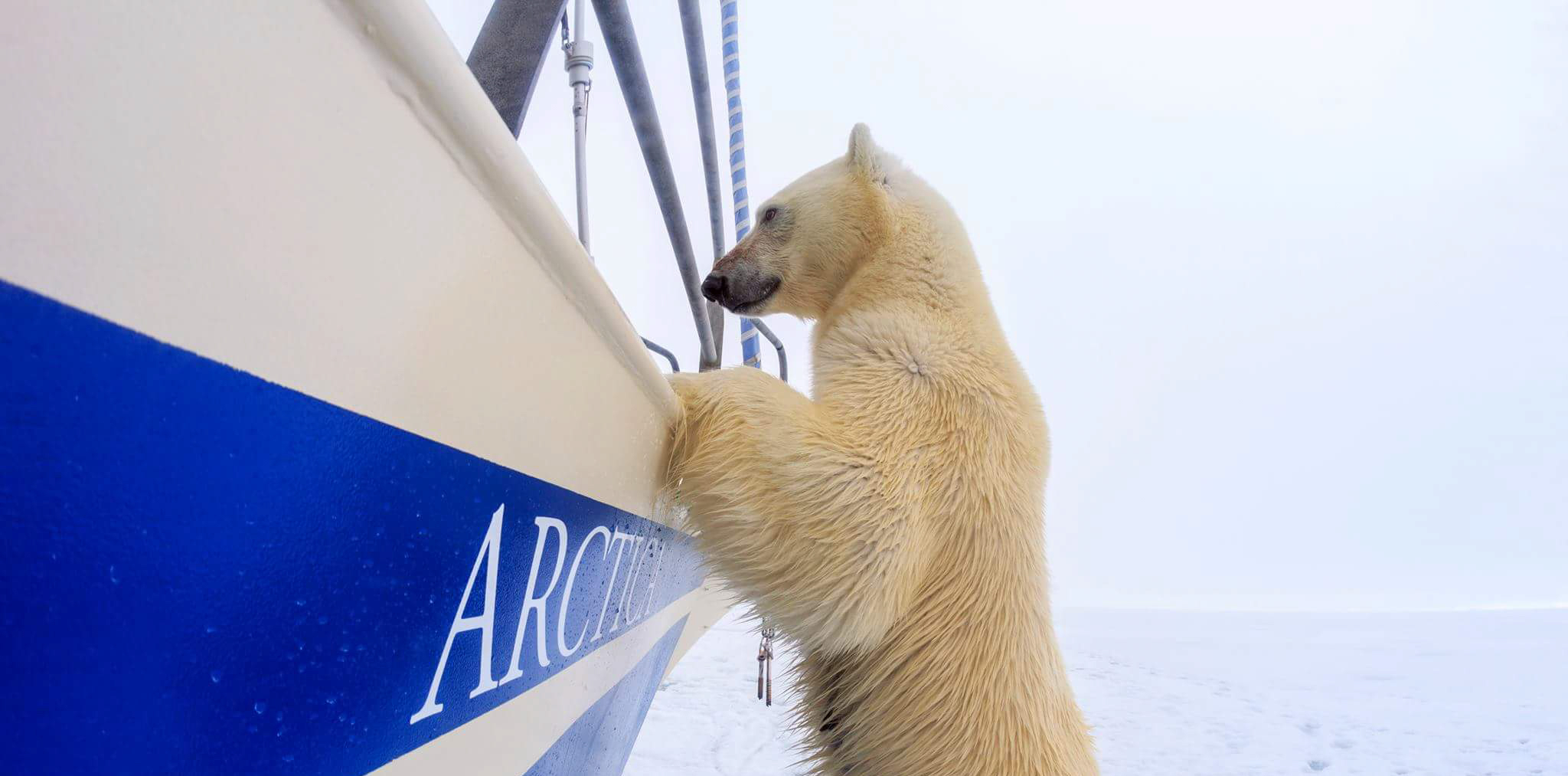 Voyage in the Arctic | Poli Arctici