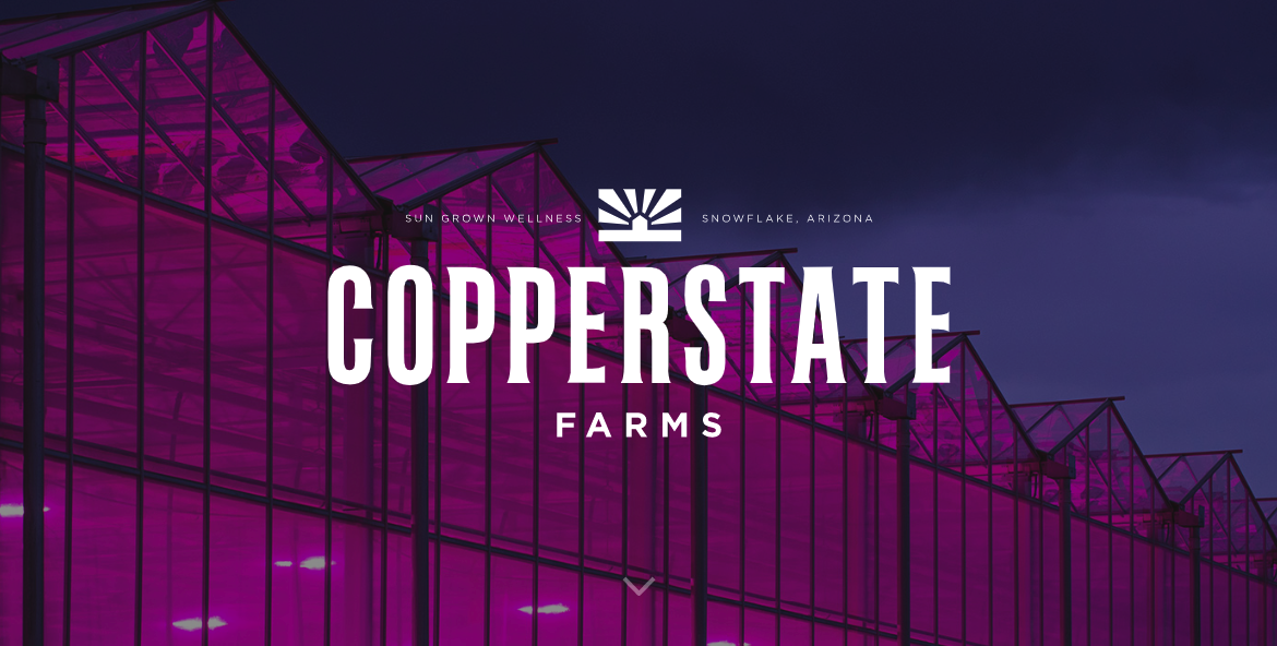 A Better Kind of Cannabis Company | Copperstate Farms