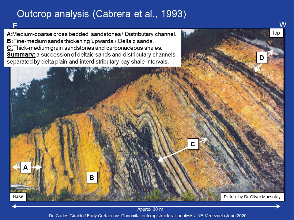 Early Cretaceous Conomita outcrop: structural analysis of syn ...
