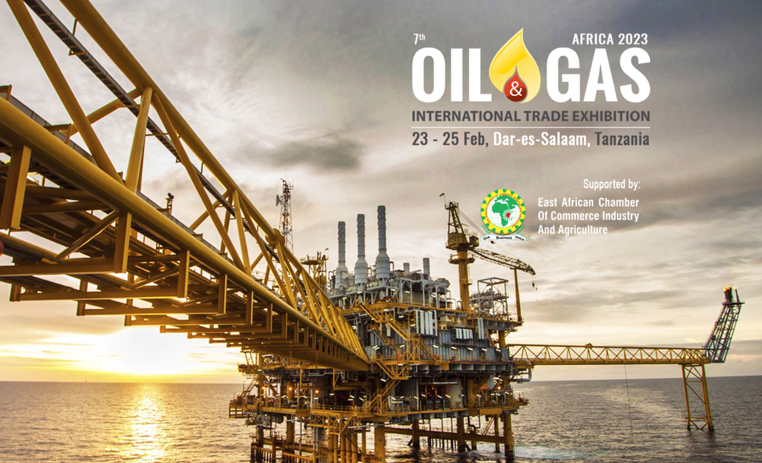 U3 Explore - The Value Network