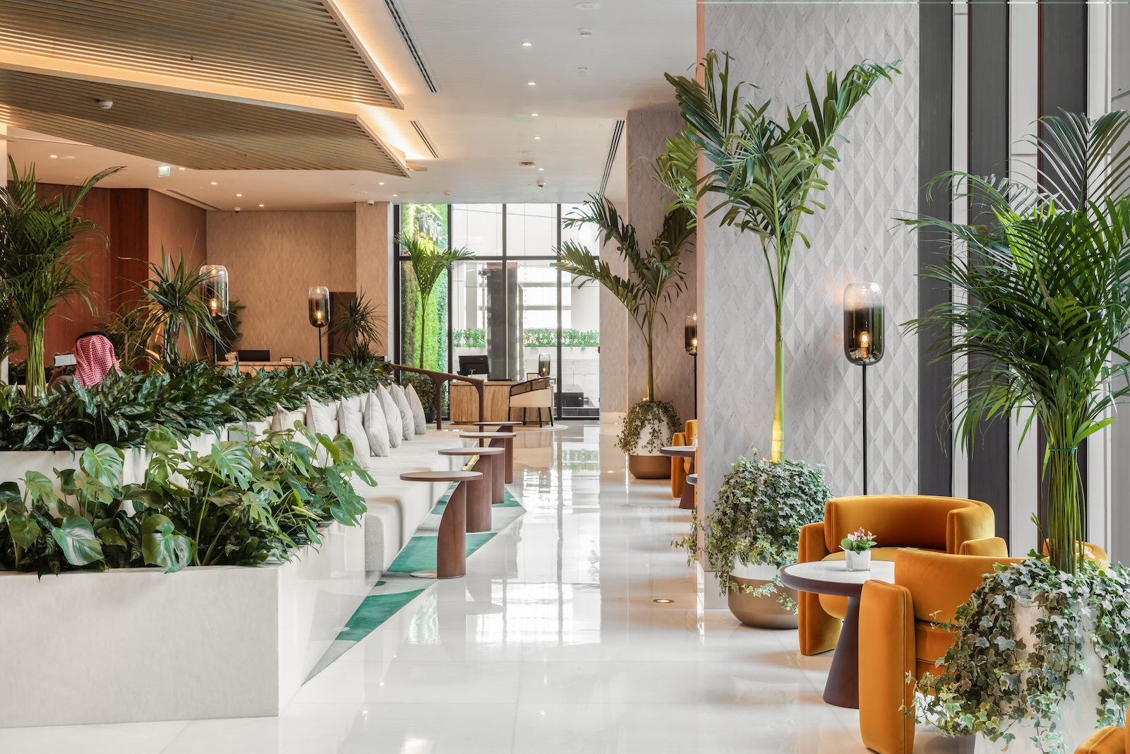 Ultimate Guide To Various Types Of Indoor Plants | Planters Blog