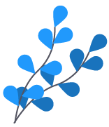 Enrollsy | Easy & affordable online enrollment software