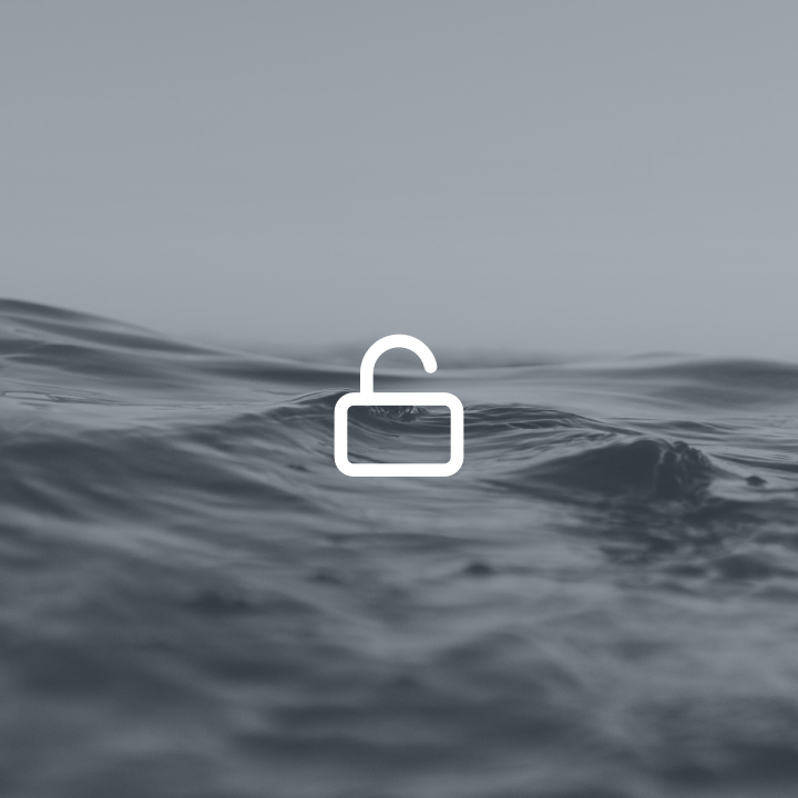 Vela - UX/UI Case Study