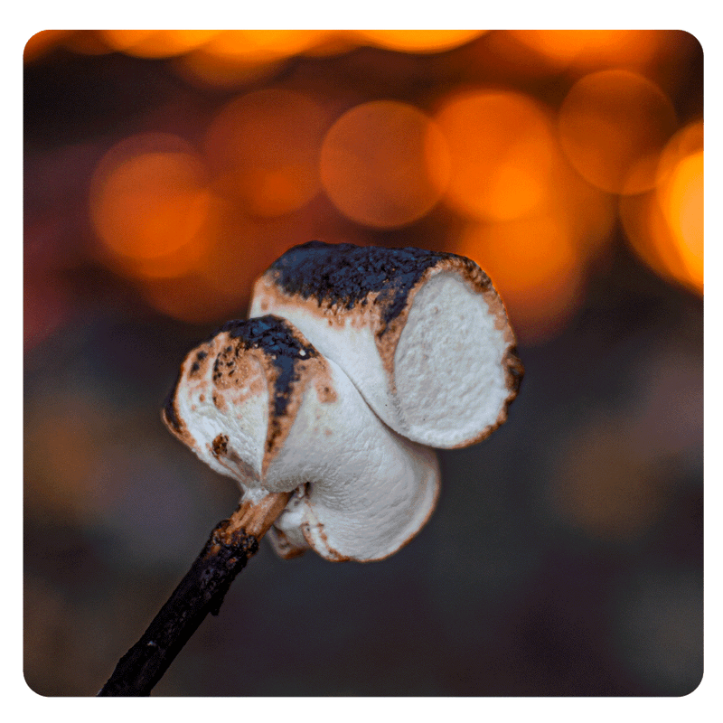 Chimeneas Hg Fire - Productos