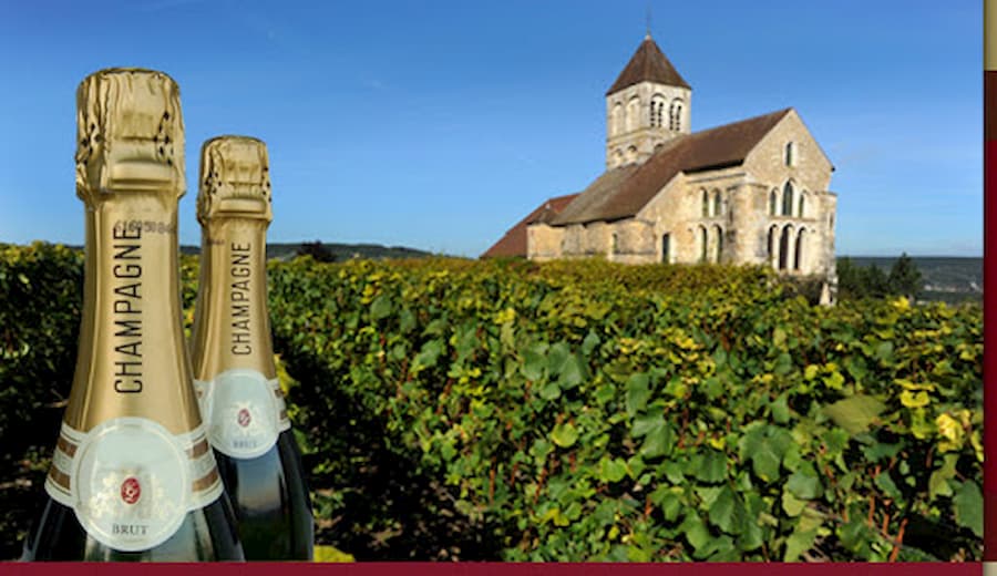 Champagne (Taste, Best Bottles, Prices 2021)